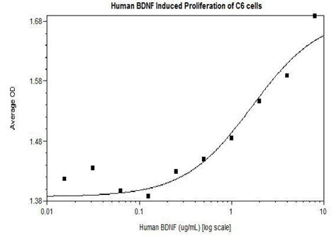 Human Brain Derived Neurotrophic Factor Recombinant Protein