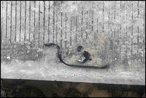 နေပြည်တော်ကောင်စီနယ်မြေ၊ လယ်ဝေးမြို့နယ်အတွင်းသို့ ရှော့တိုက်ဒုံးများဖြင့် နှောင့်ယှက်ပစ်ခတ်တိုက