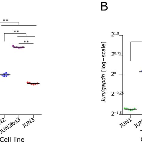 Fos And Jun Expression In Fibrosarcoma Cell Lines Ab Comparison Of