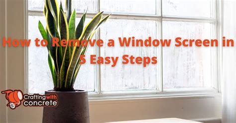 Remove Window Screens 5 Simple DIY Steps Craftingwithconcrete Com