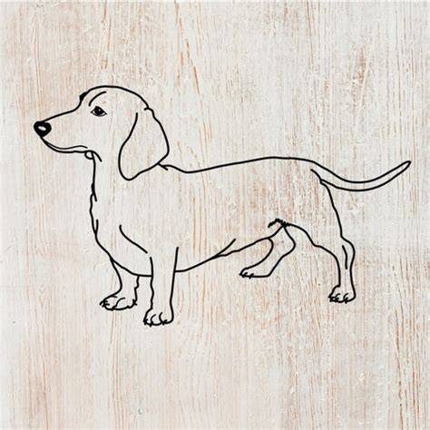 Dachshund SVG New Dachshund SVG File Flower Dachshund Svg Etsy