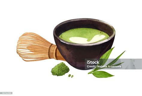 수채화 유기농 녹색 일본 말차 라떼를 검은 컵에 넣고 거품기고 잎을 말립니다 손으로 그린 만화 그림 흰색 배경에 고립되어 있습니다 웹 디자인 메뉴 앱 광고를 위한 차