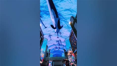 인스파이어리조트 고래영상 Youtube