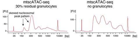 Mitochondrial Single Cell Multi Omics For Lineage Tracing And Mitochondrial Genetics Research