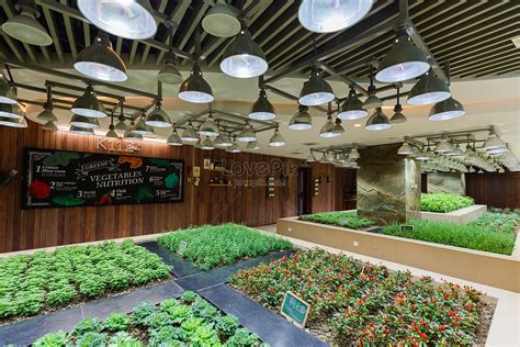 도시 유기농 농장 사진 무료 다운로드 Lovepik