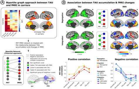 Amyloid β And Tau Pathologies Relate To Distinctive Brain Dysconnectomics In Preclinical