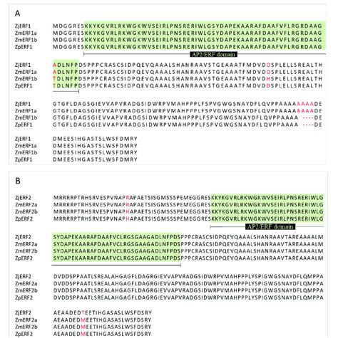 Conserved Domain Analysis Of The Zoysia A Erf1 Putative Protein Download Scientific Diagram