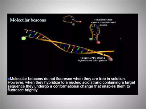 Study Of Microarray Genomic Study Ppt