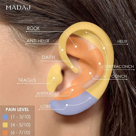 Pain Levels Of Ear Piercings Madaj Piercings