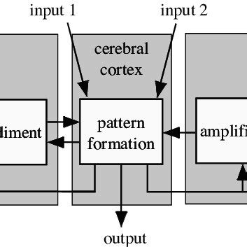 Schematic Diagram Showing The Mechanism Of Turing Pattern Formation On Download Scientific