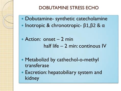 Ppt Stress Echo Powerpoint Presentation Free Download Id 6684109