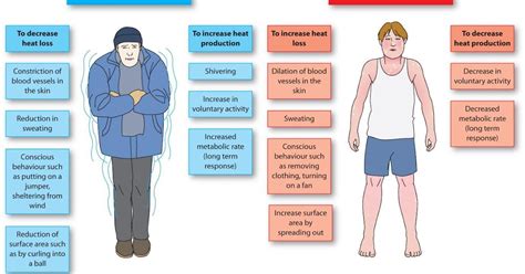 Hyperthermia Vs Hypothermia What The Difference