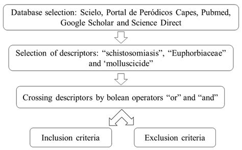 Flowchart Of The Methodology Used In The Study Download Scientific Diagram