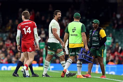 Etzebeth To Learn His Fate On Tuesday After Red Card Against Wales