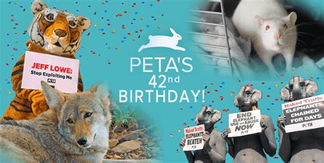 Peta S History Compassion In Action Peta