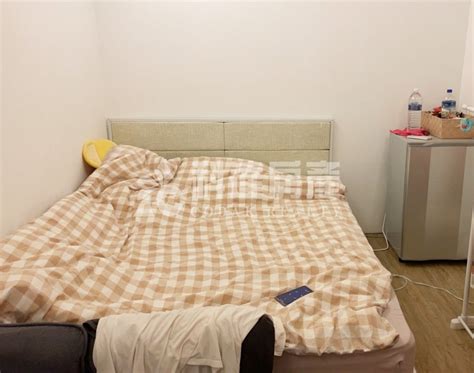 東森科達 新莊區 中港國小收租屋