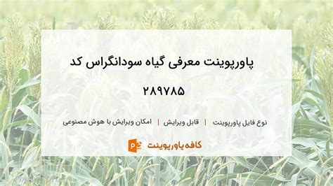 دانلود پاورپوینت معرفی گیاه سودانگراس کد 289785