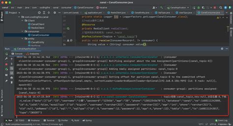 Java开发 Canal进阶之和redis的数据同步canal数据库同步 Csdn博客