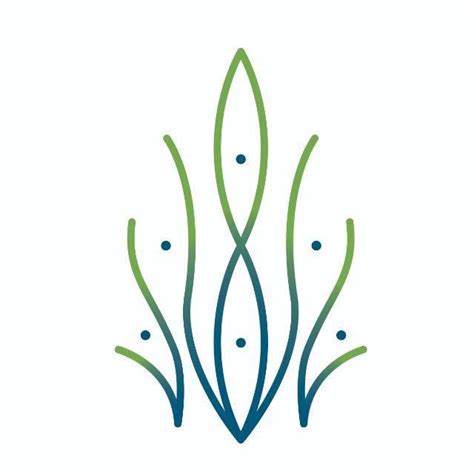 Proyecto Thalassia Tarea Vida