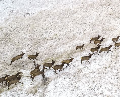 What Is Ecological Connectivity Right Of Passage