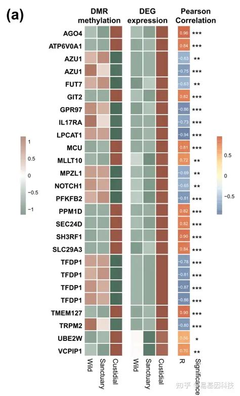 易基因多组学关联分析及组学分子实验验证方法表观组 转录组 微生物组干货系列 深圳市易基因科技 博客园