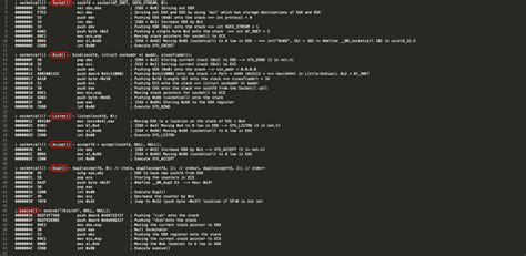slae32 assignment 5 [shellcode analysis] bigb0ss