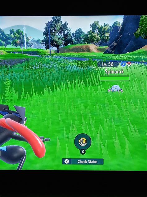 Got My First Shiny Of Kitikami R Mandjtv