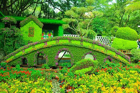 광저우 운 대 화원 촬영 도 저장 성 식물원 사진 봄빛 배경 일러스트 및 사진 무료 다운로드 Pngtree