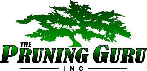 The Pruning Guru FAQ Buckhead GA The Pruning Guru