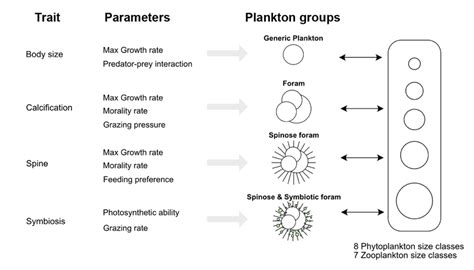 schematic representation of a trait based ecosystem model incorporating