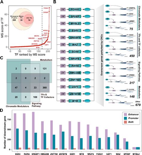 Frontiers Super Enhancer Driven Core Transcriptional Regulatory