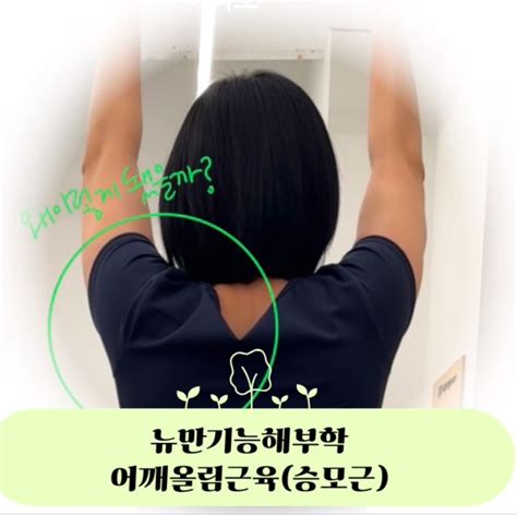 홍정기 교수님 어깨복합체 뉴만키네시올로지 어깨올림근육 승모근 뭉침 해결을 위한 팁 네이버 블로그