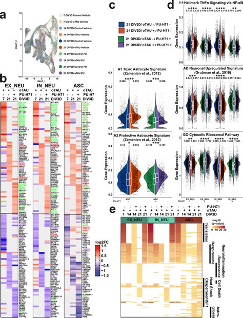 ScRNA Seq Transcriptomic Modulation Supports PU H71 Reversal Of The Download Scientific Diagram