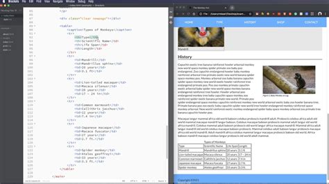 Table Rows Cells And Headers Youtube