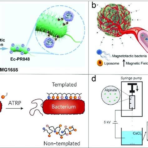 Representative Examples Of A Physical Integration Electrostatic Download Scientific Diagram