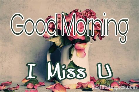 25 Good Morning I Miss You Wishes Good Morning Wishes