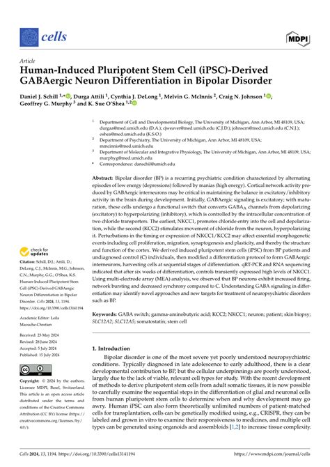 Pdf Human Induced Pluripotent Stem Cell Ipsc Derived Gabaergic Neuron Differentiation In