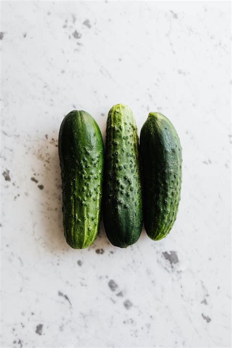 3 Myths About Getting Pregnant Proov
