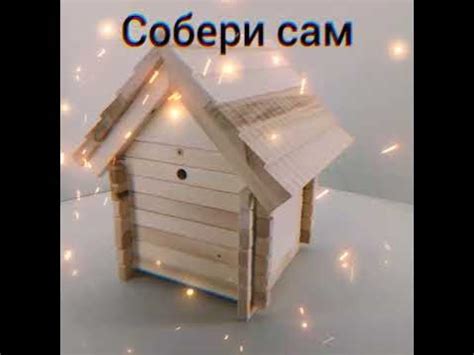 домик для шмелей, покадровая съемка. - YouTube