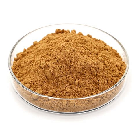 Platycodigenin Powder Natural Platycodon Root Extract 10 1 Platycodon