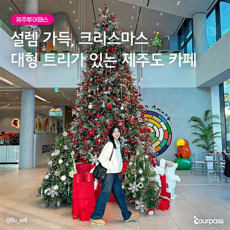 투어패스 설렘 가득 크리스마스 트리 스팟🎄 키가 무려 5m가 된다는 역대급 대형 트리가
