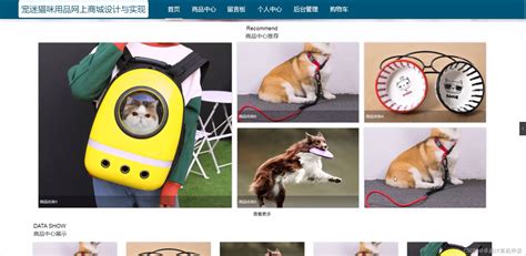【开题报告】springboot宠迷猫咪用品网上商城设计与实现1q8ht计算机毕业设计 spring boot网上宠物商城论文 csdn博客