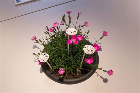 PSX Consultancy Designs Sex Toys For Plants At BIO