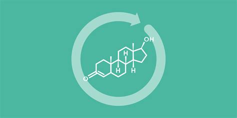 Testosterone Therapy And Your Cycle
