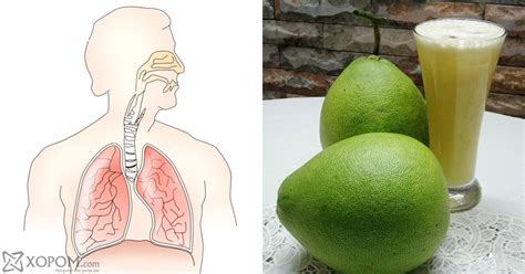 Жимсний шүүсээр уушгиа цэвэрлэх онцгой арга Танд ердөө гурван хоног л хэрэгтэй