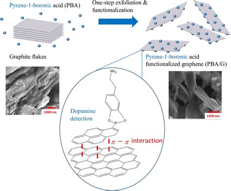 One Step Production Of Pyrene 1 Boronic Acid Functionalized Graphene