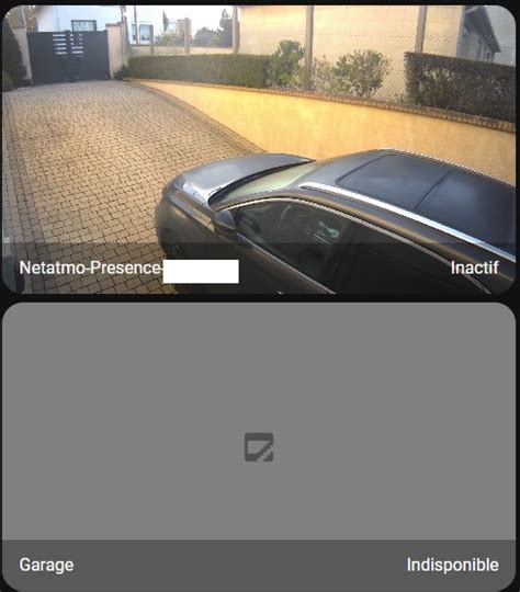 Netatmo Camera Feed Showing As Unavailable · Issue 89731 · Home