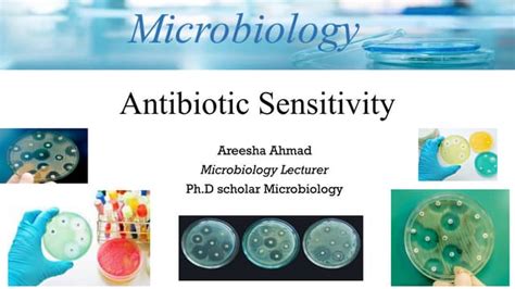 Procedure Of Sensitivity Microbiology For Lab Technicians Pptx