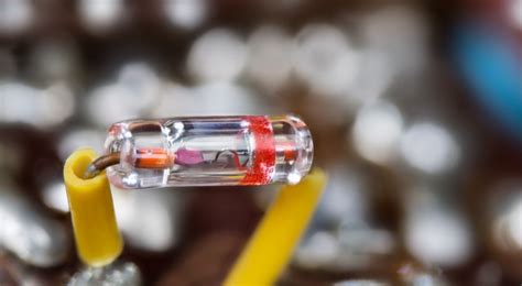 Хятадын ГХЭ ийн экспорт сүүлийн 3 жилийн дээд түвшинд хүрэв Mining Insight