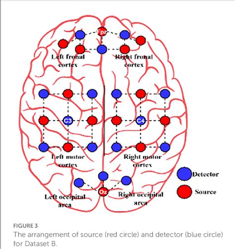 Figure 1 From Explainable Artificial Intelligence Model To Predict Brain States From Fnirs